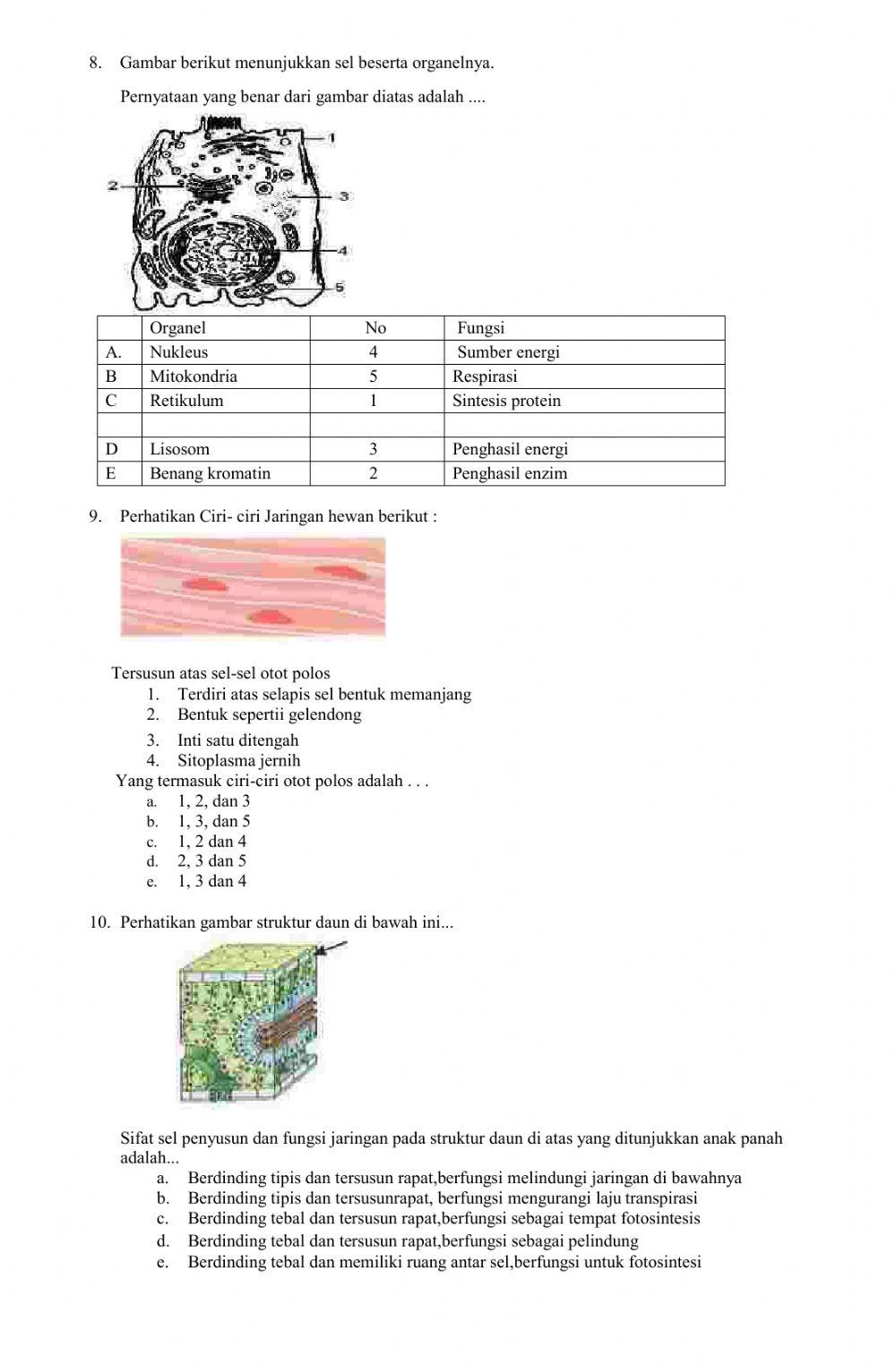 Biologi online worksheet | Live Worksheets