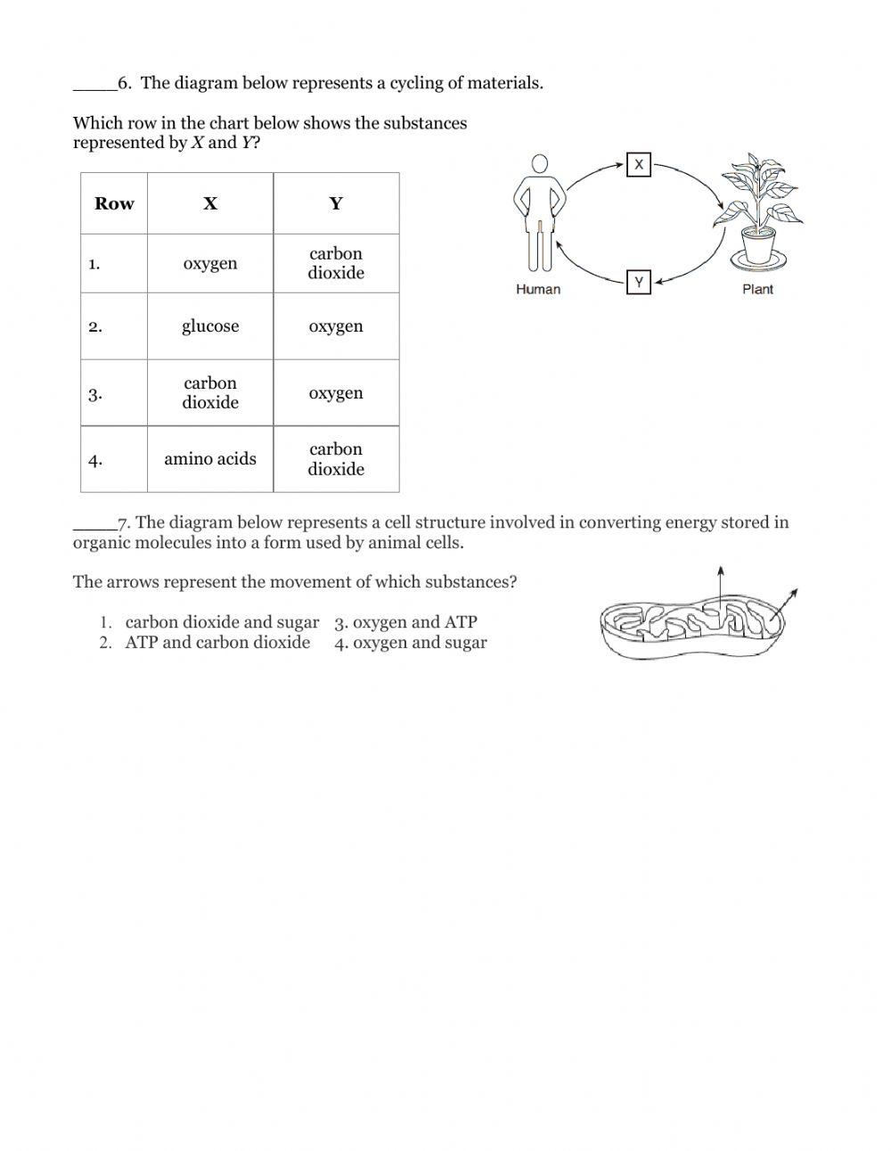 Photosynthesis vs Cellular Respiration online exercise for | Live ...