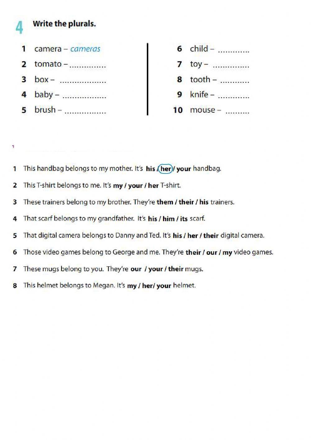 Spark 1 Grammar | Free Interactive Worksheets | 560050
