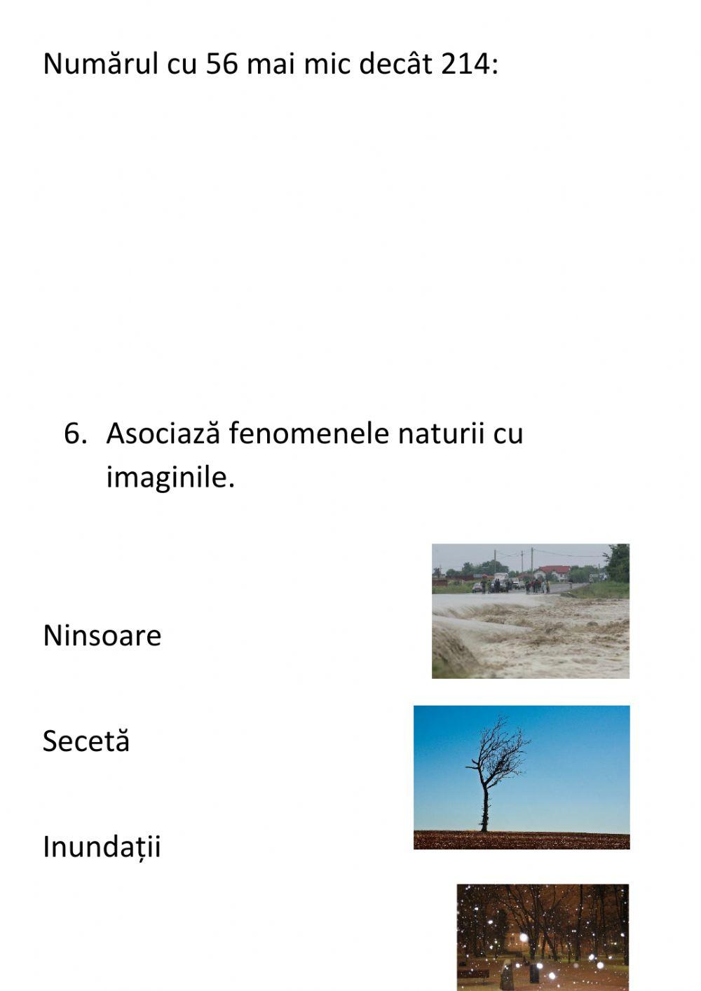 Test MEM activity | Live Worksheets