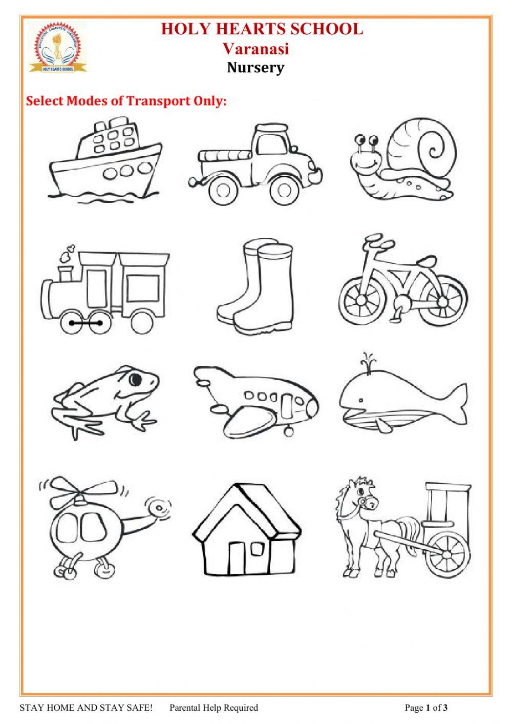 609884 | Nursery EVS Transport | Nisha Thukral 609884 | Nursery EVS Transport | Nisha Thukral