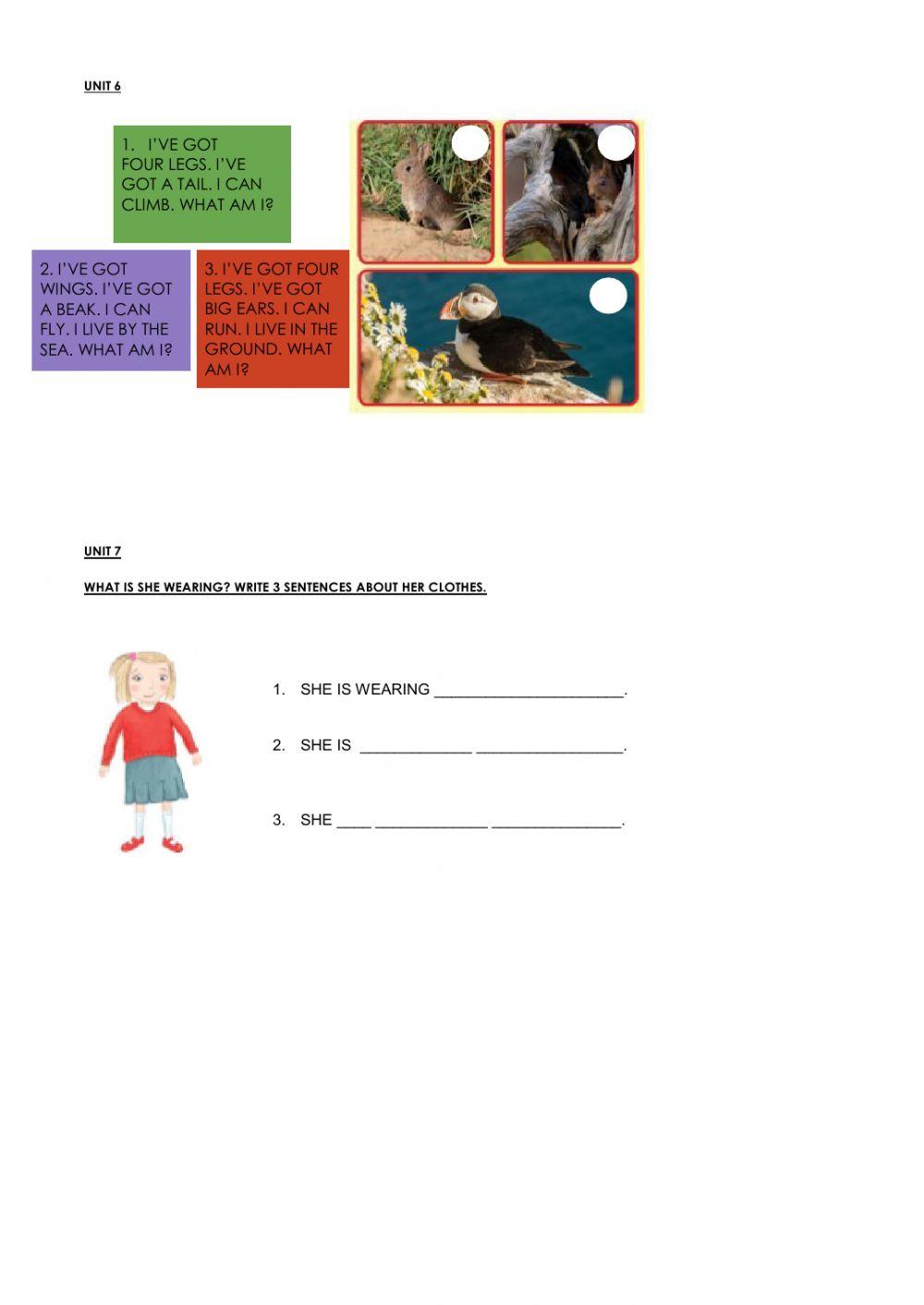 Entry exam 2020 worksheet | Live Worksheets