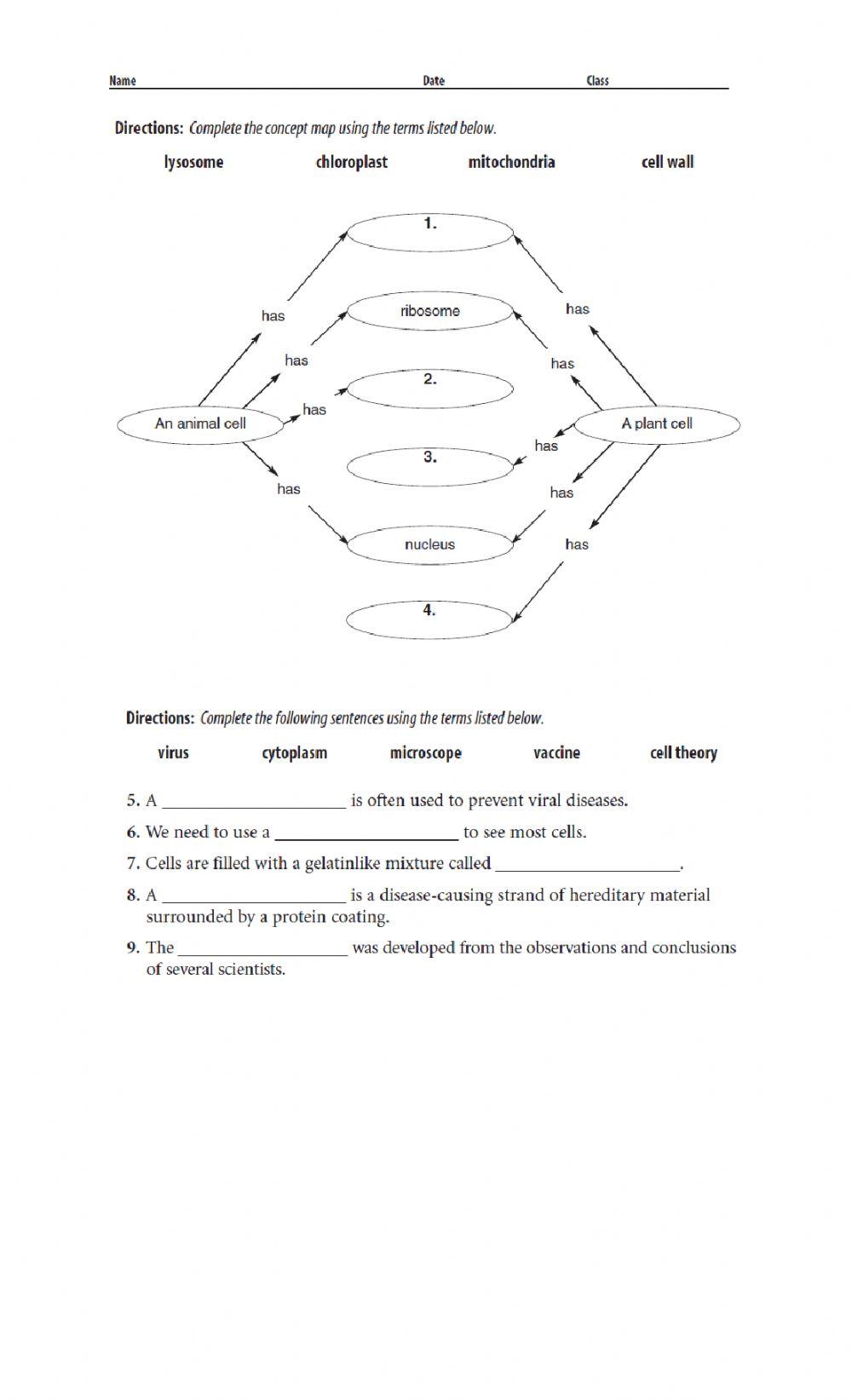 Cells interactive activity for 7 | Live Worksheets