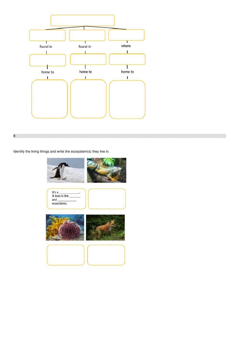 4508348 | Ecosystems | Winnieteacher | LiveWorksheets