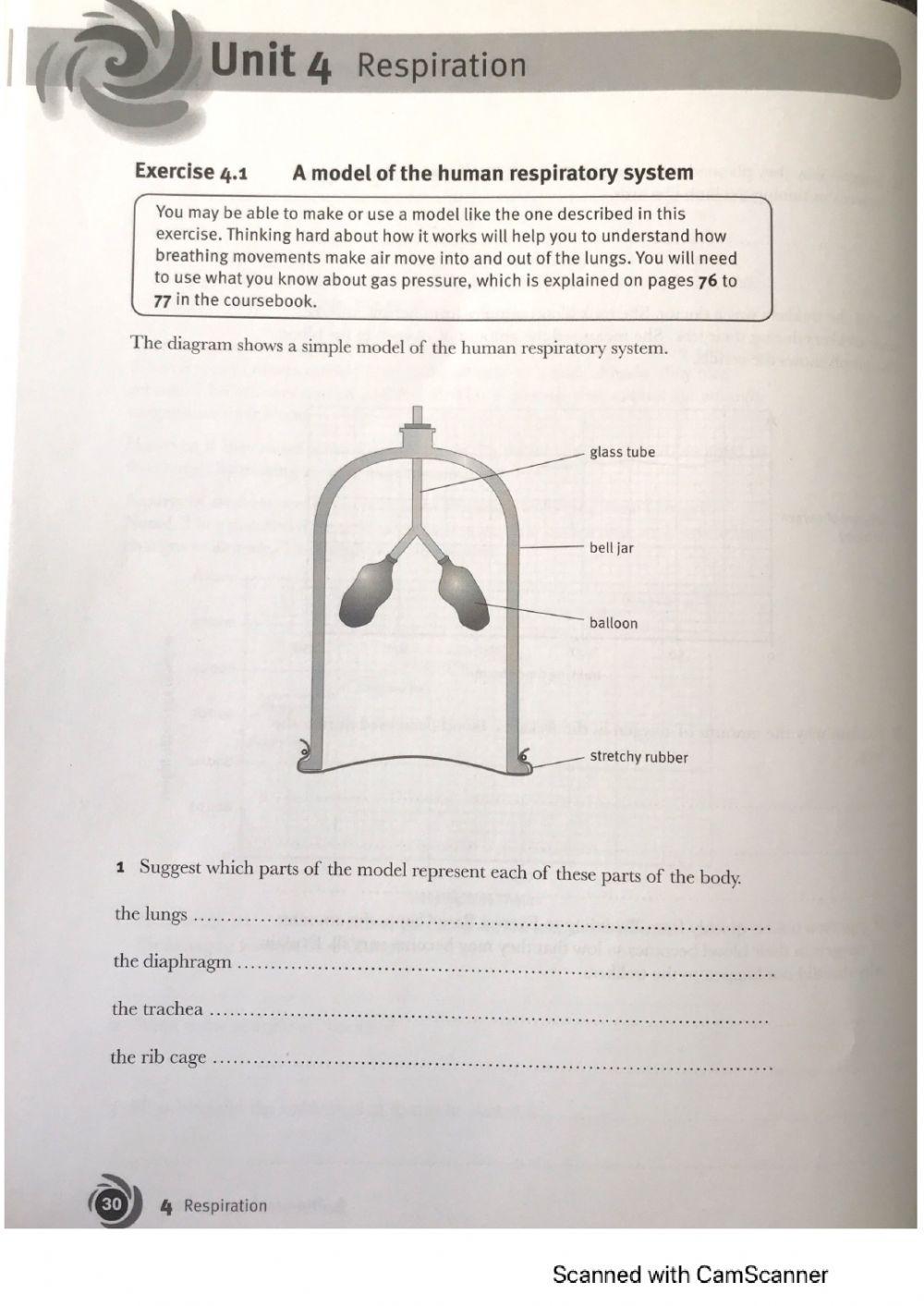 SCIENCE WB 30,31,32,33 online exercise for | Live Worksheets