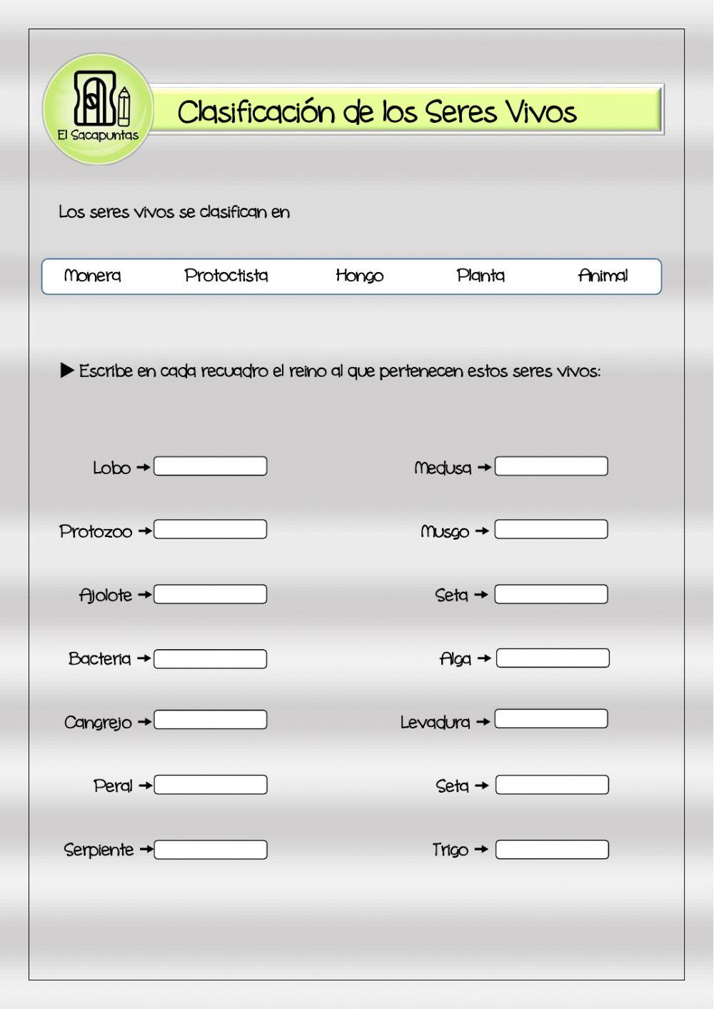 Clasificación de los Seres Vivos online activity | Live Worksheets
