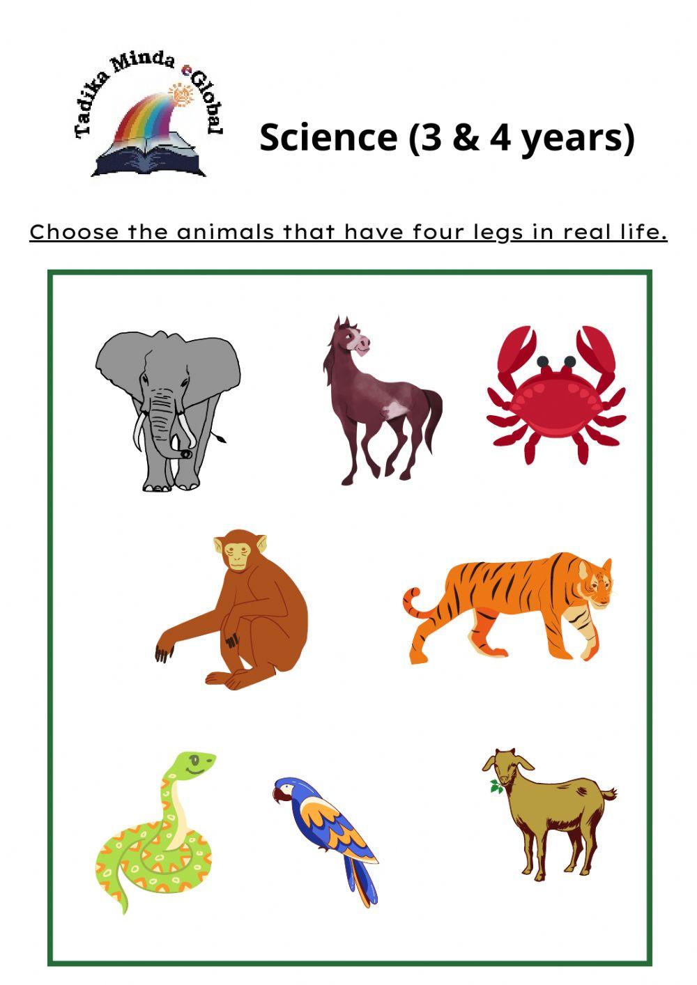 3 & 4 Years: Sc… | Free Interactive Worksheets | 610830