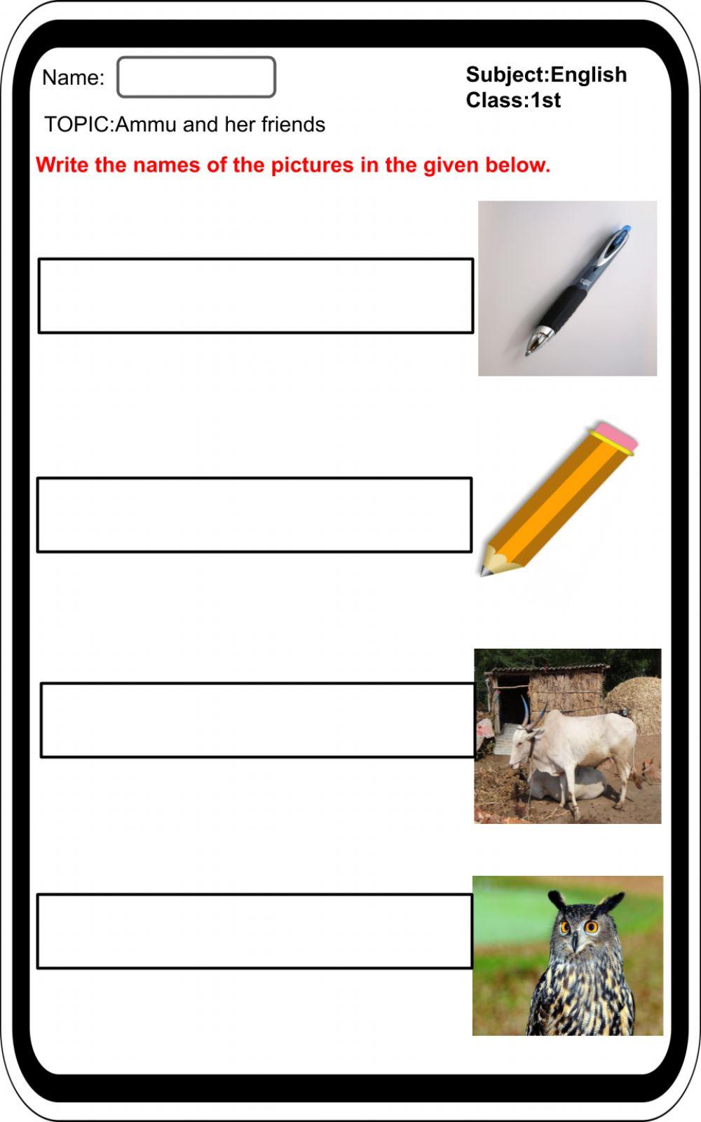 O,p fill worksheet | Live Worksheets