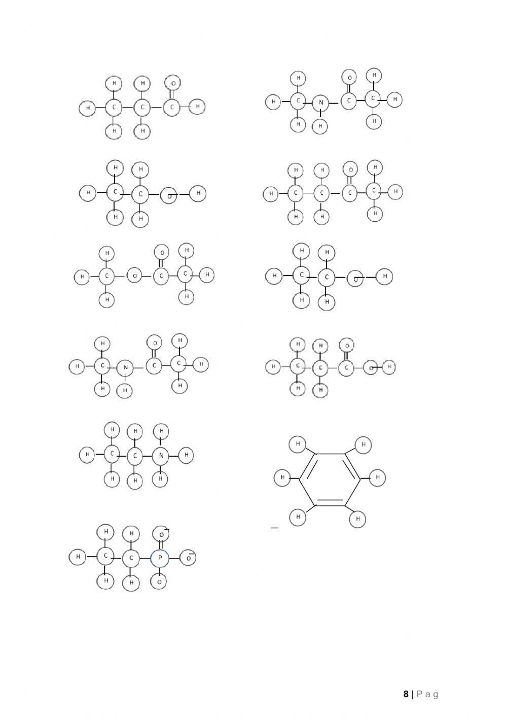 biochemistry functional groups worksheet