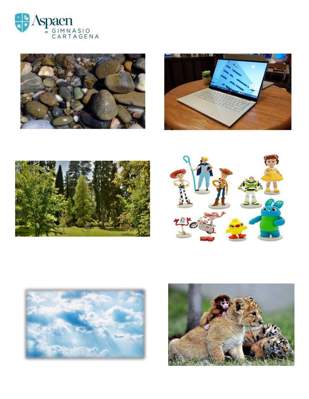 Natural Resources interactive exercise for 1 | Live Worksheets