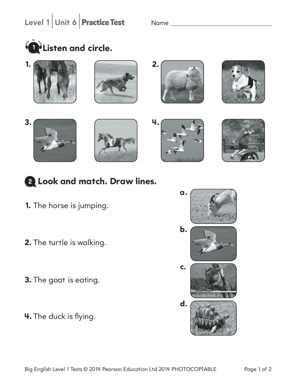 6296542 | BIG ENGLISH 1 - PRACTICE UNIT 4 - 5 - 6 - 7