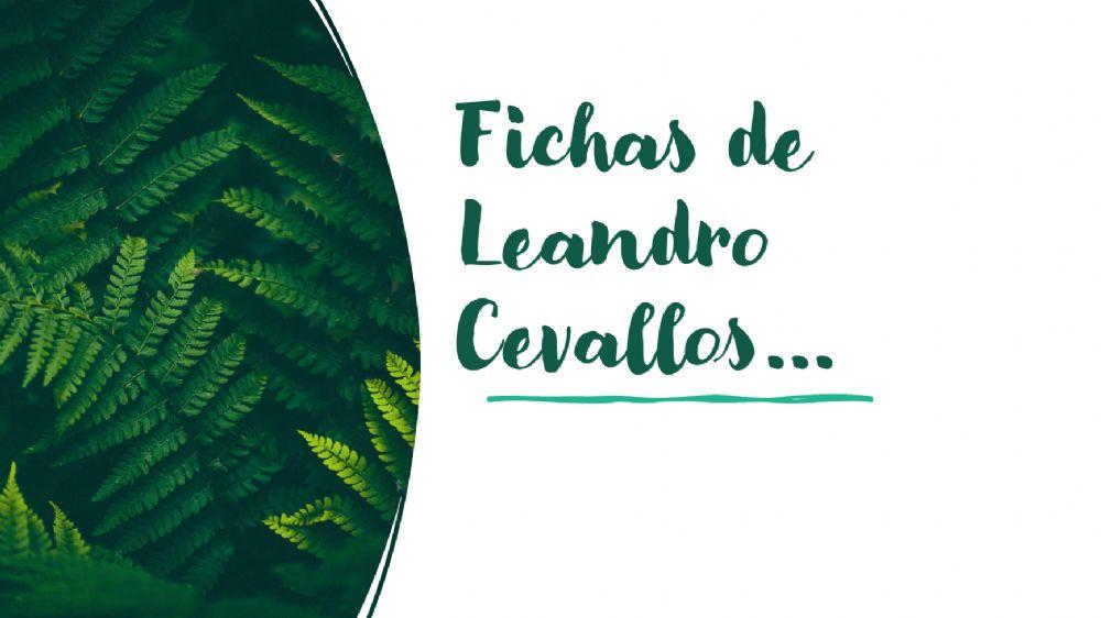 Fichas de Leandro abp. worksheet | Live Worksheets