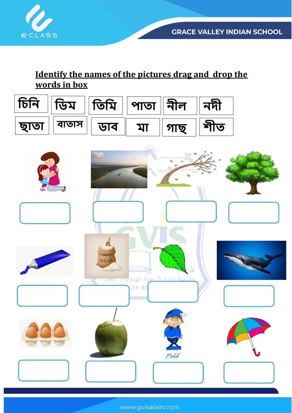Bengali workshe… | Free Interactive Worksheets | 4513659