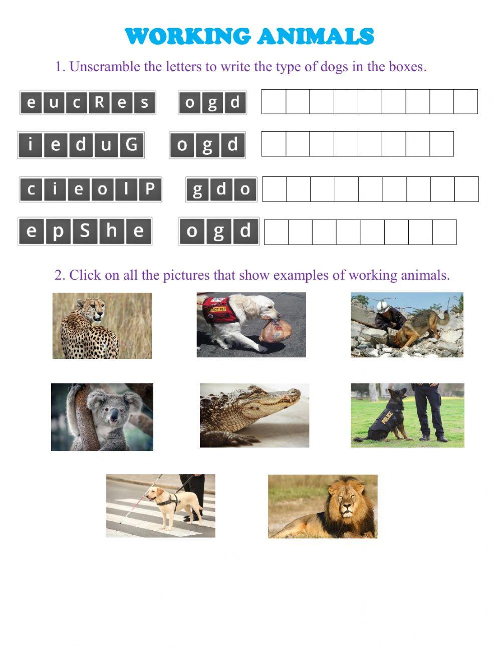 Working animals worksheet | Live Worksheets