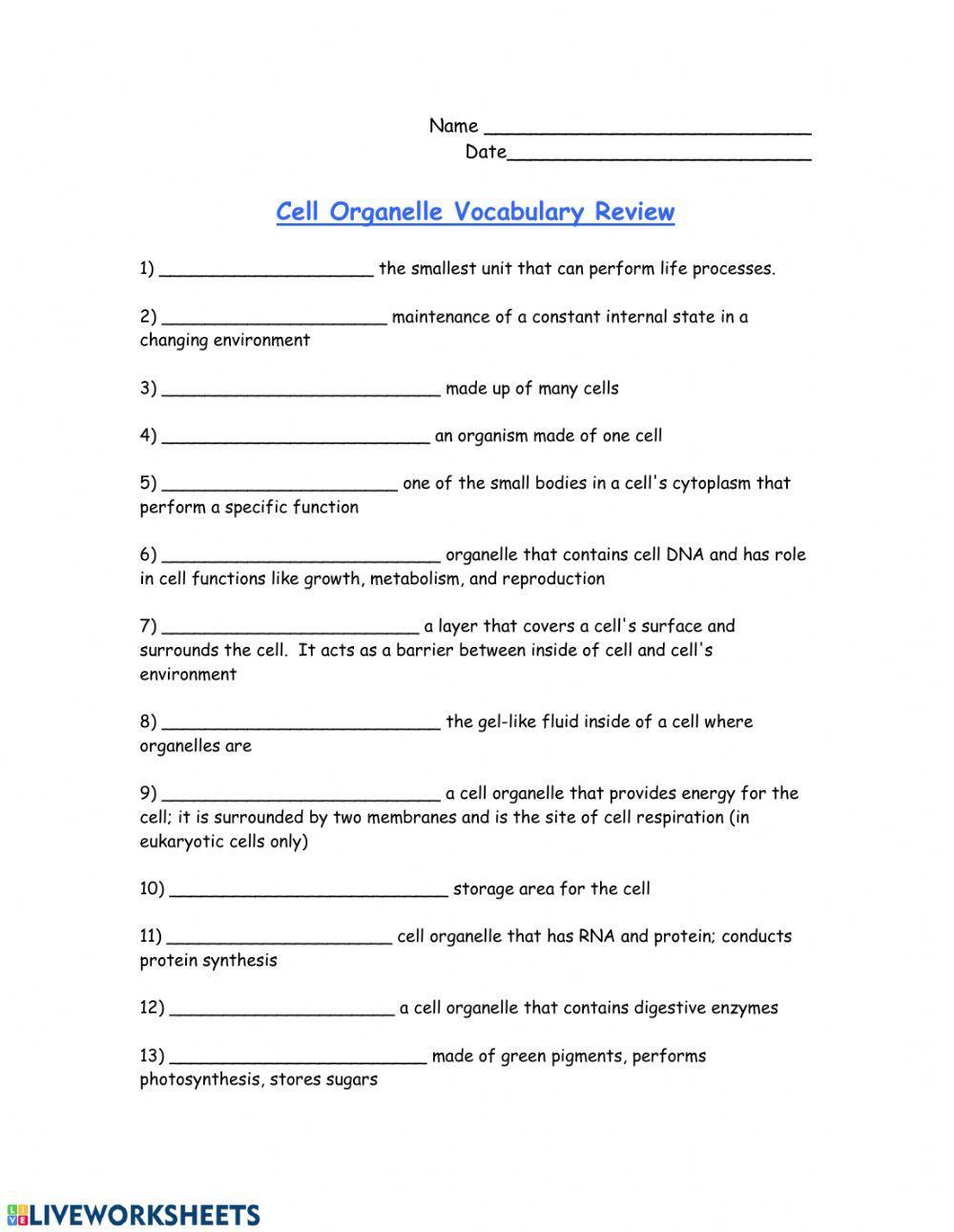 Cell Structure 567655 | ChristinaHage | Live Worksheets