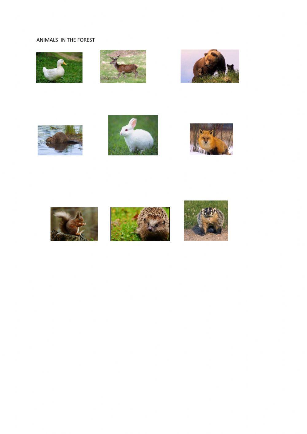 forest animals online exercise for | Live Worksheets