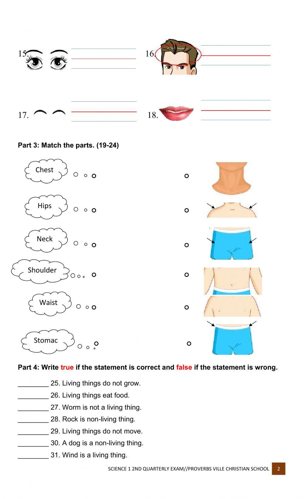4518708 | SCIENCE 1 2ND QUARTERLY EXAM | Anie Rose V.