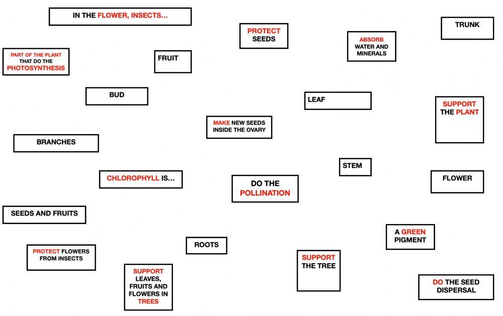 Match plants concepts worksheet | Live Worksheets