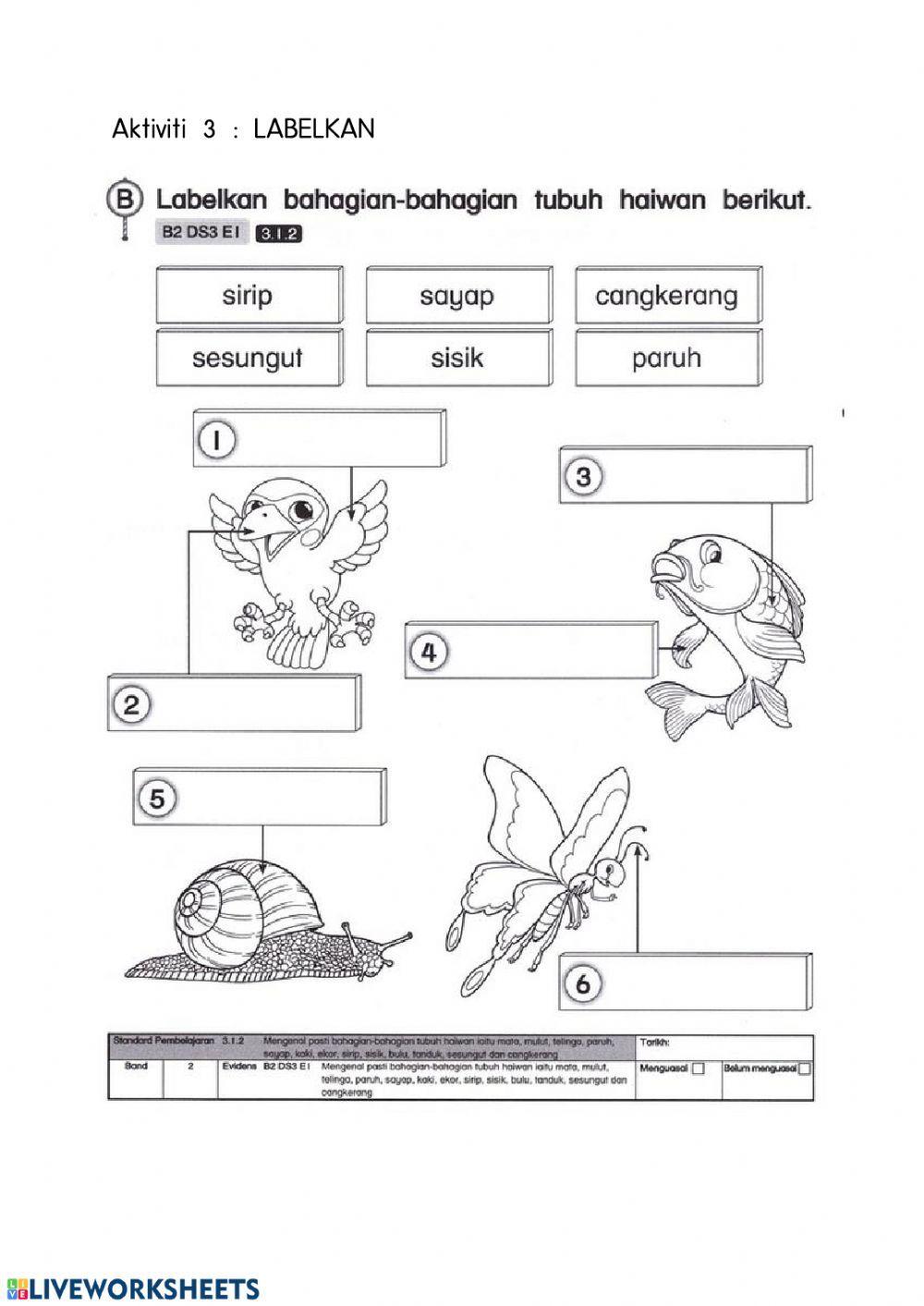 Mengenal ciri-ciri haiwan worksheet | Live Worksheets