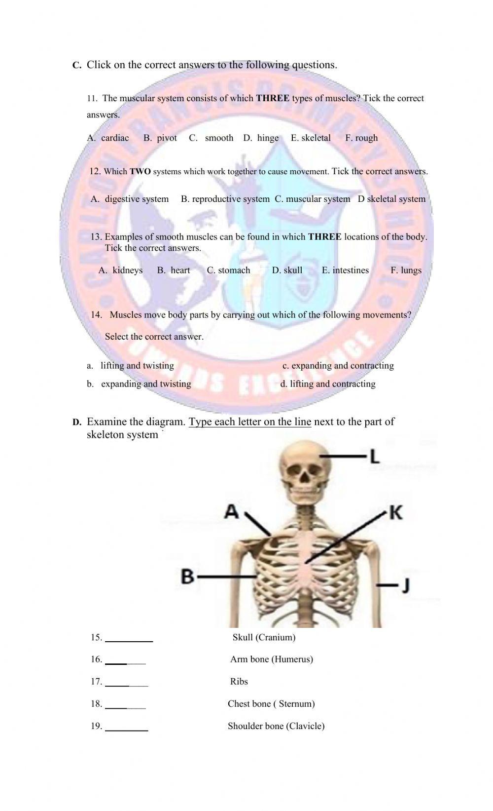Science Exam 582847 | CFPSAdmin | Live Worksheets