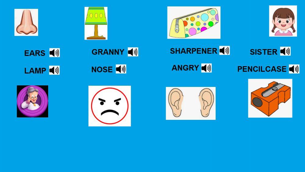 Vocabulary review free activity | Live Worksheets