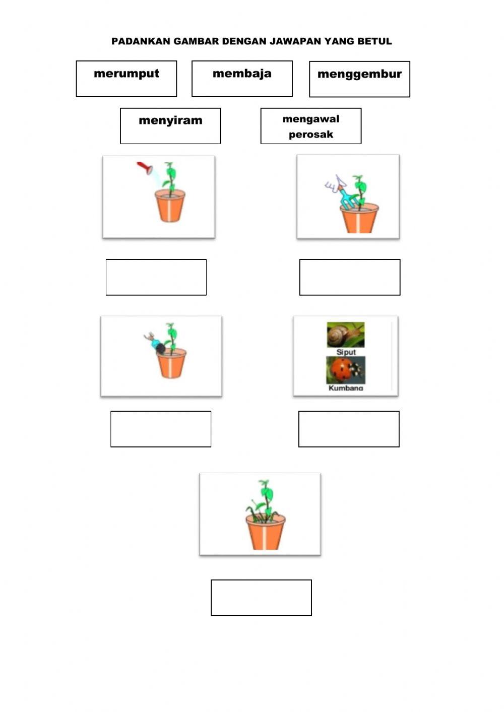 RBT Tahun 5 interactive worksheet | Live Worksheets