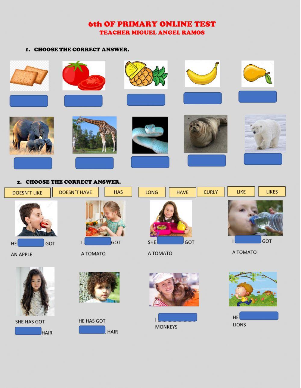 6th of PRIMARY ONLINE TEST 6310649 | terceroprimariaasea