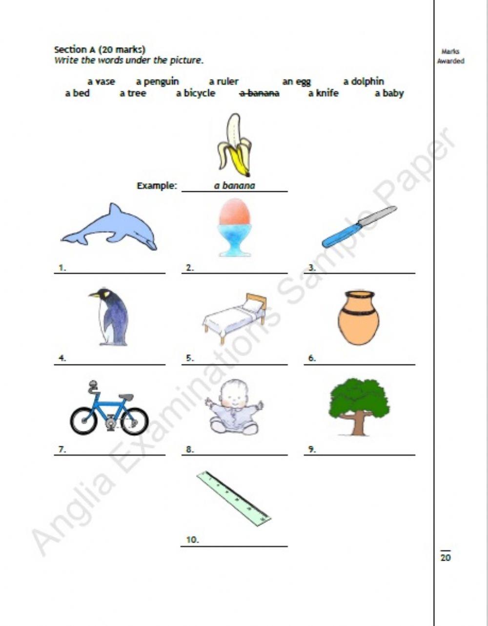Section A Junior test interactive worksheet | Live Worksheets