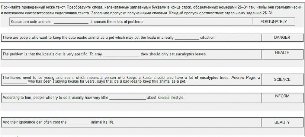 Koalas worksheet | Live Worksheets