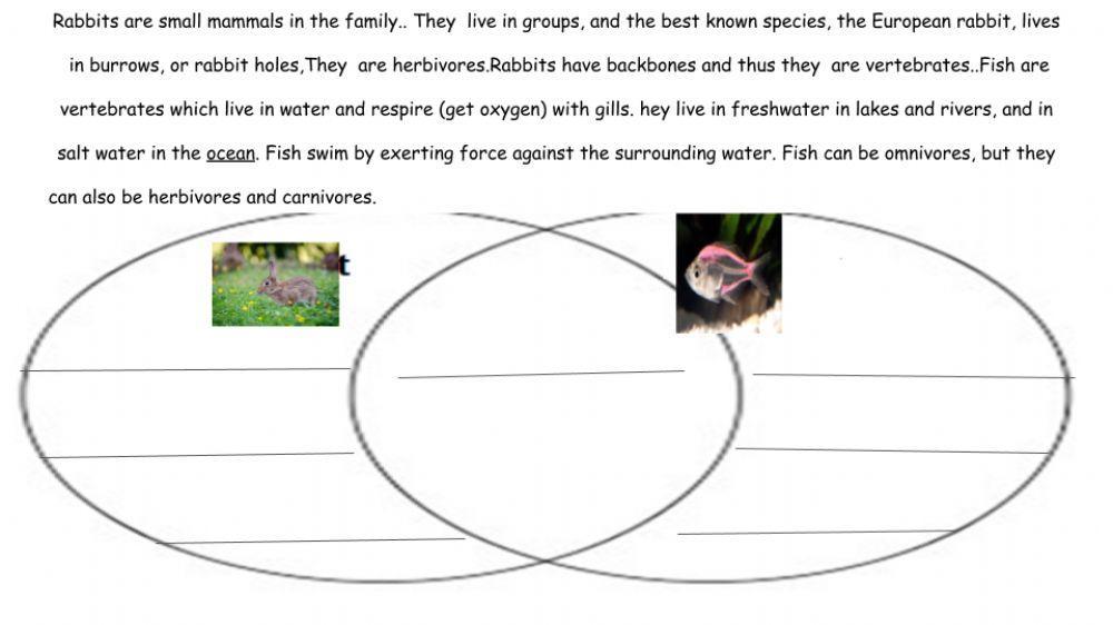 Compare and Contraste worksheet | Live Worksheets