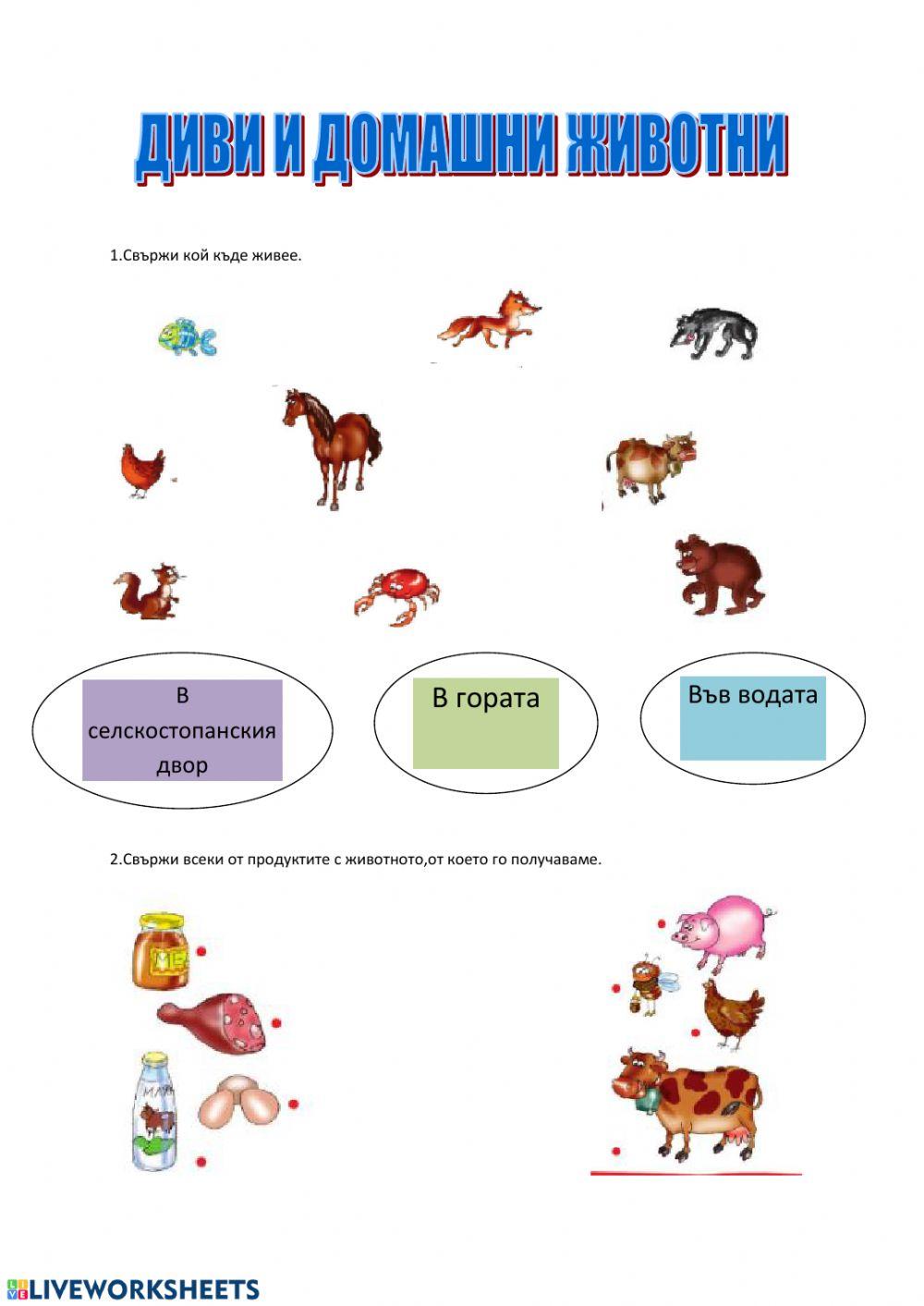 Диви и домашни животни работен лист Online Exercise For Live Worksheets