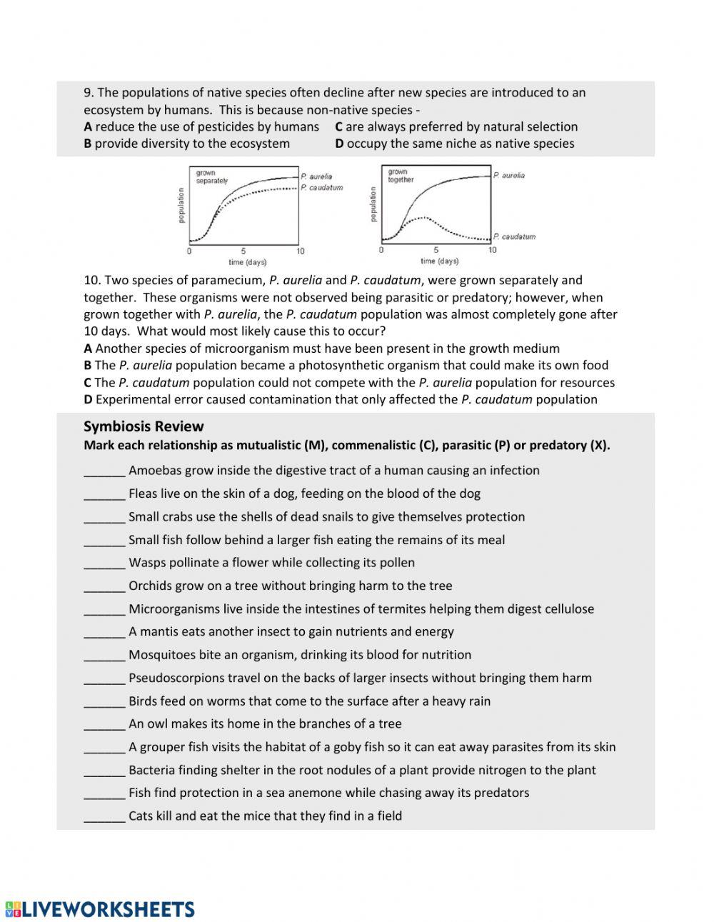 ES: Competition Worksheet 58463 | dnash13