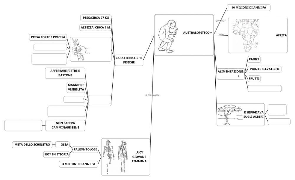 L'australopiteco interactive worksheet | Live Worksheets