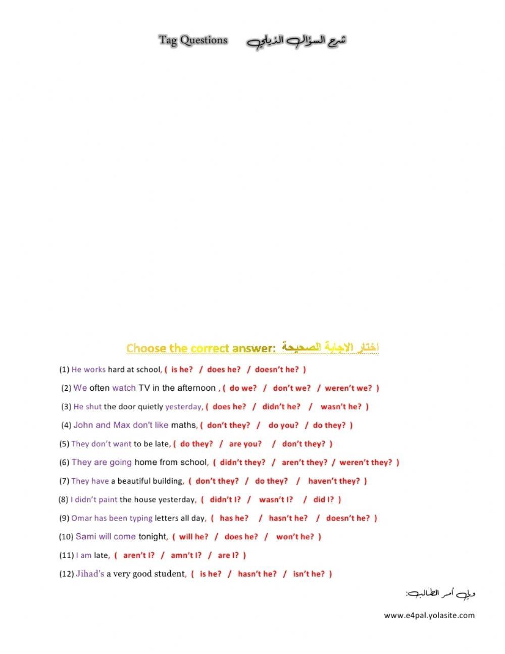 G7 Tag Questions worksheet | Live Worksheets