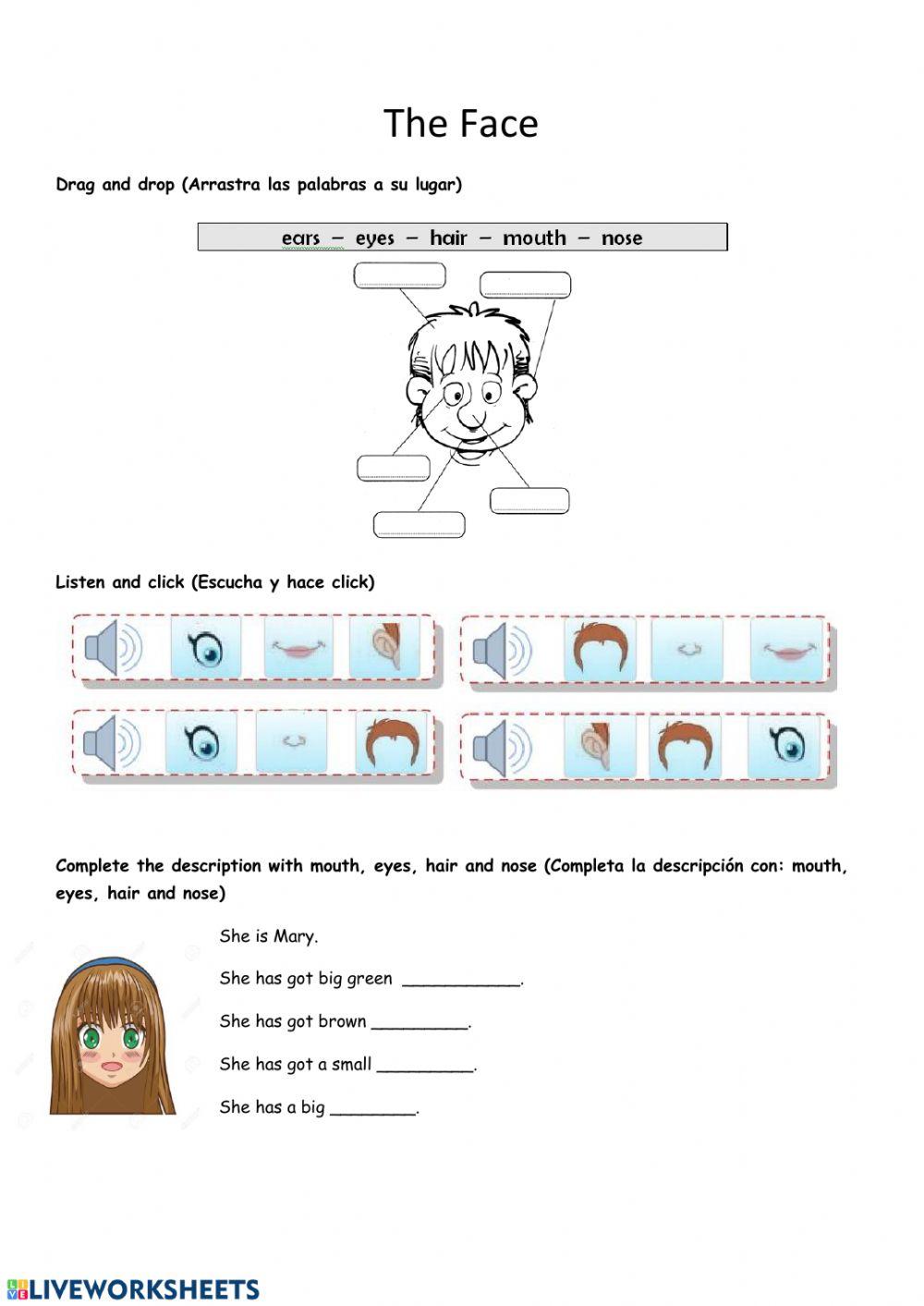 62107 | The face | laudorsch | LiveWorksheets