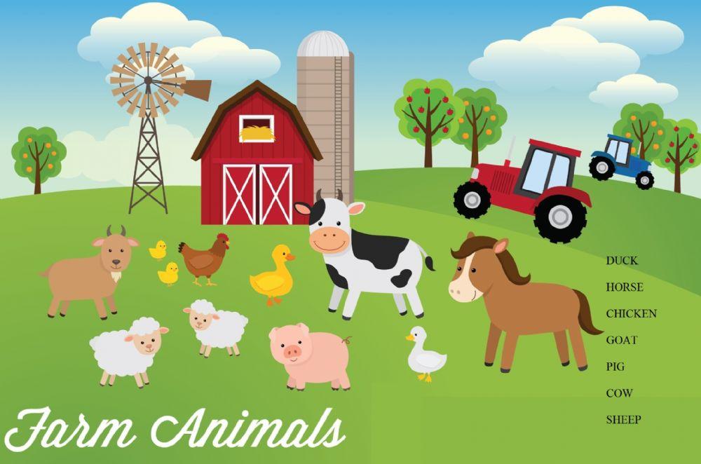 62250 | Farm animals | MSAngielski | LiveWorksheets