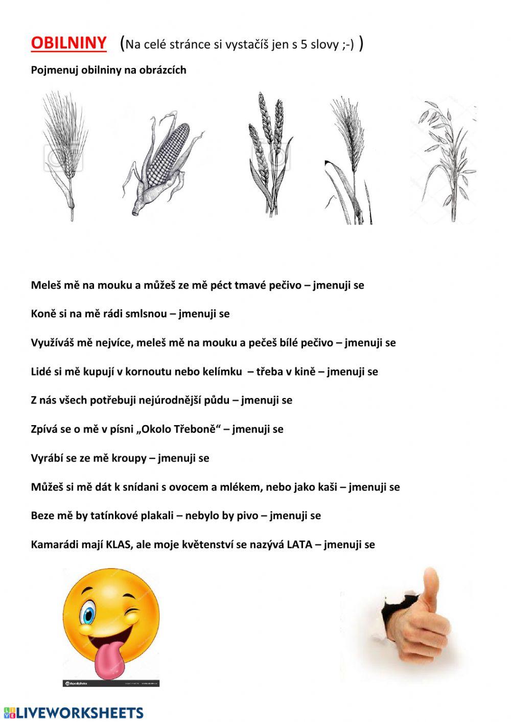 Obilniny worksheet | Live Worksheets