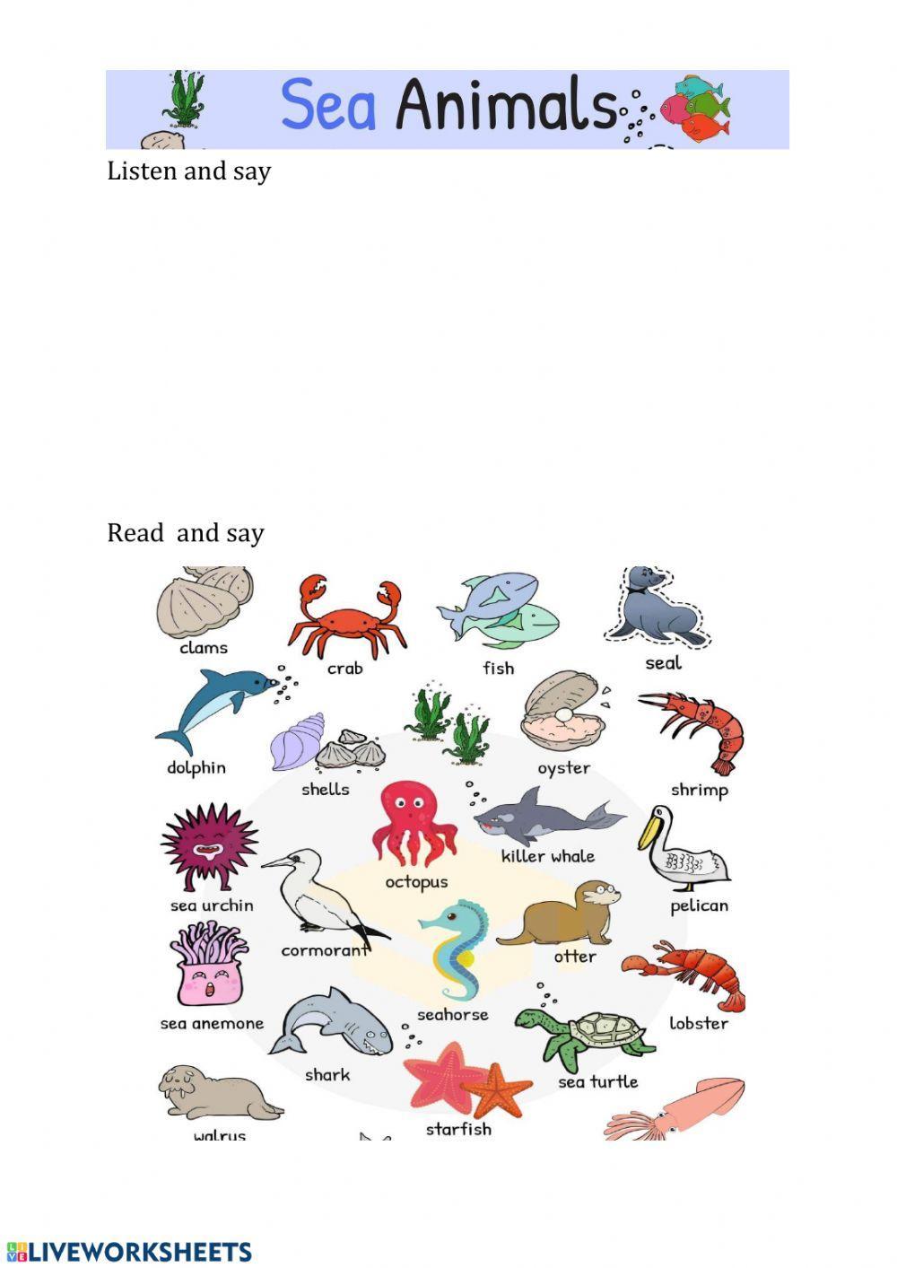 Sea Animals activity | Live Worksheets