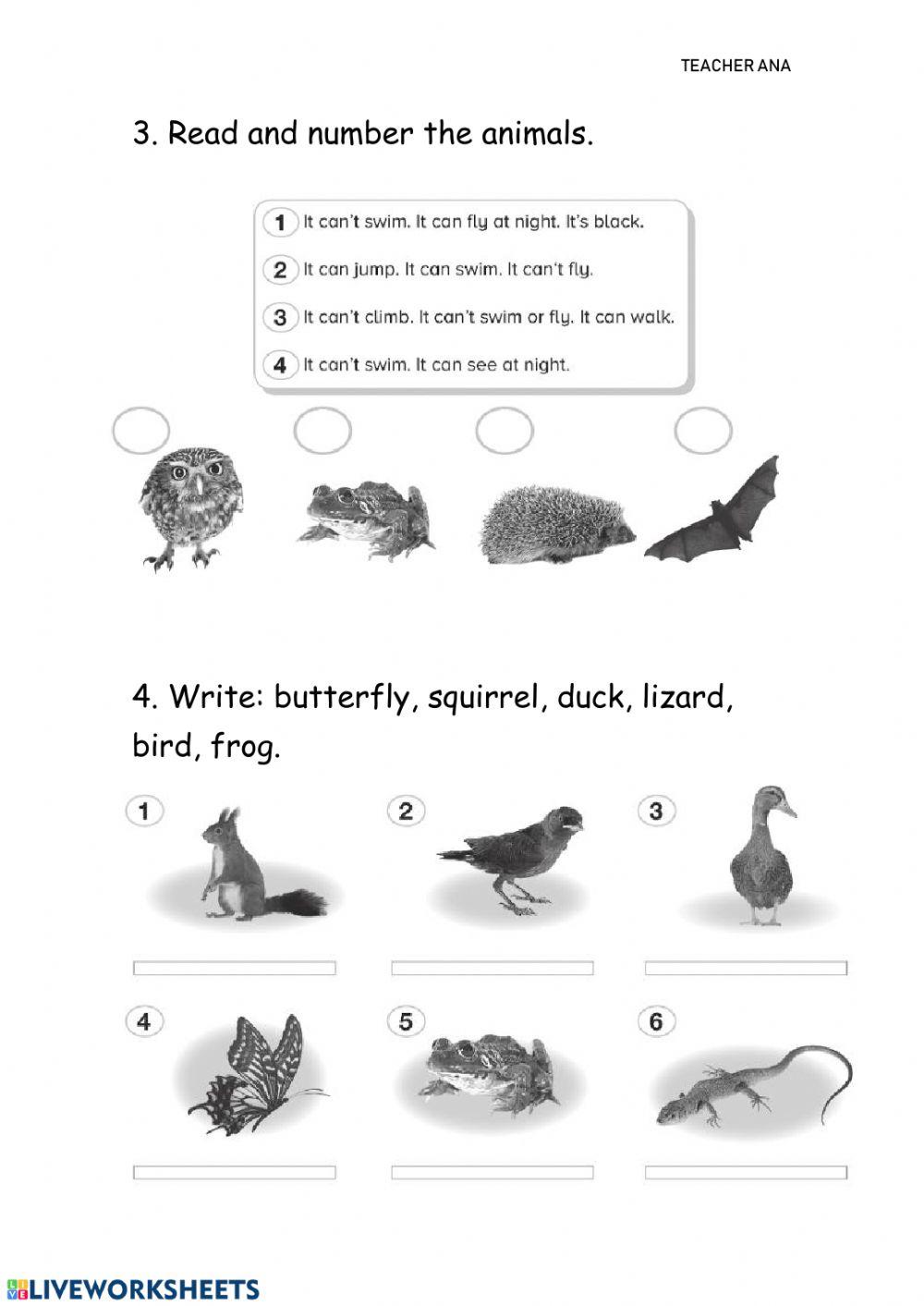 Unit 4. animals | Free Interactive Worksheets | 63890