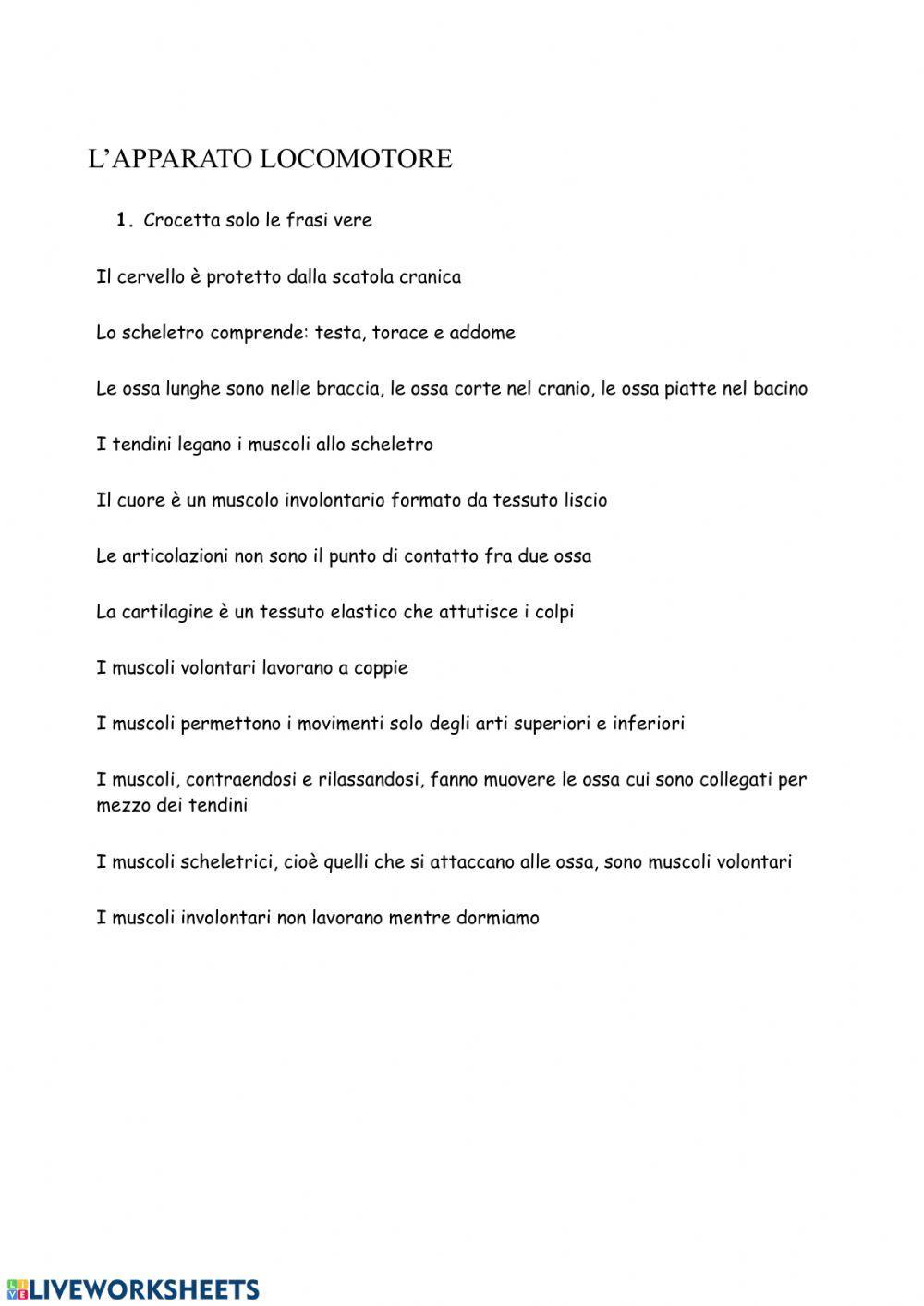 Verifica scienz… | Free Interactive Worksheets | 64541