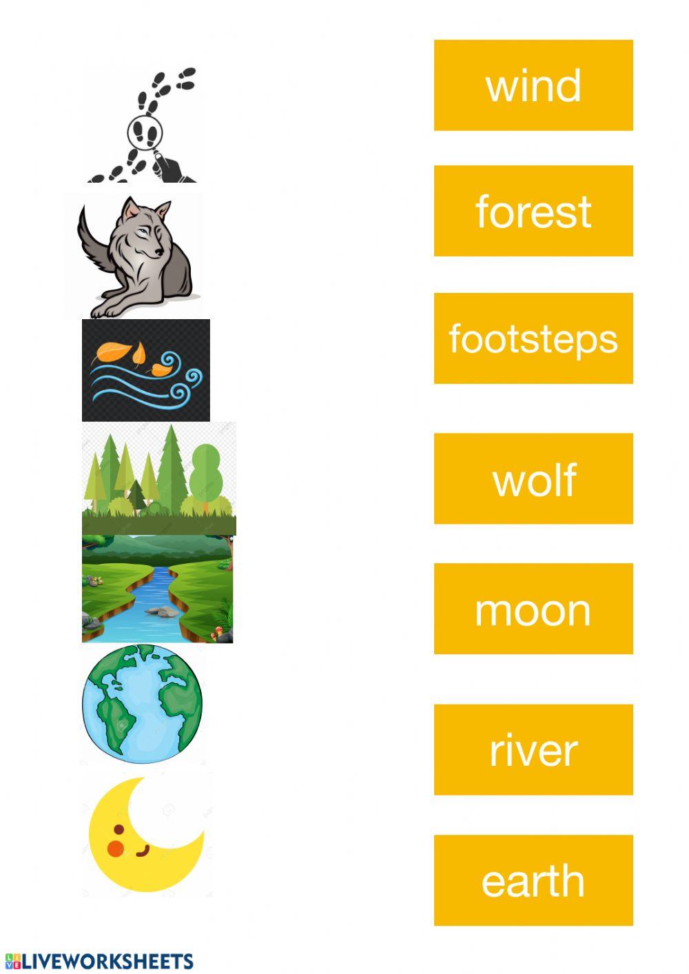 Basic vocabulary 64540 | munsaberry | Live Worksheets