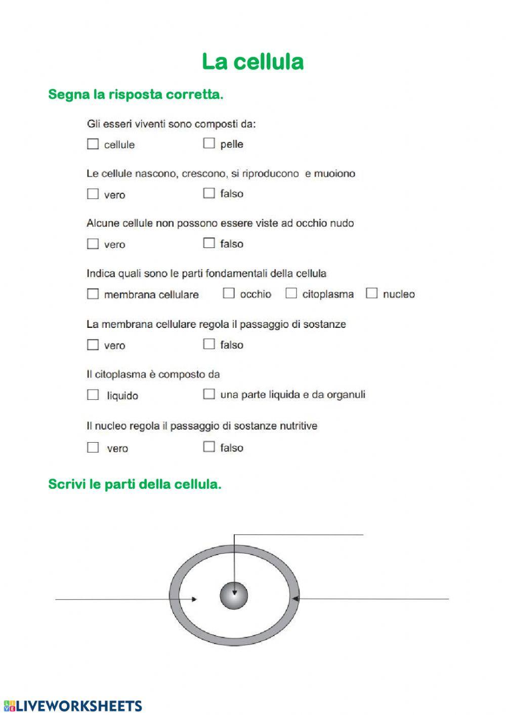 La cellula | Free Interactive Worksheets | 65465