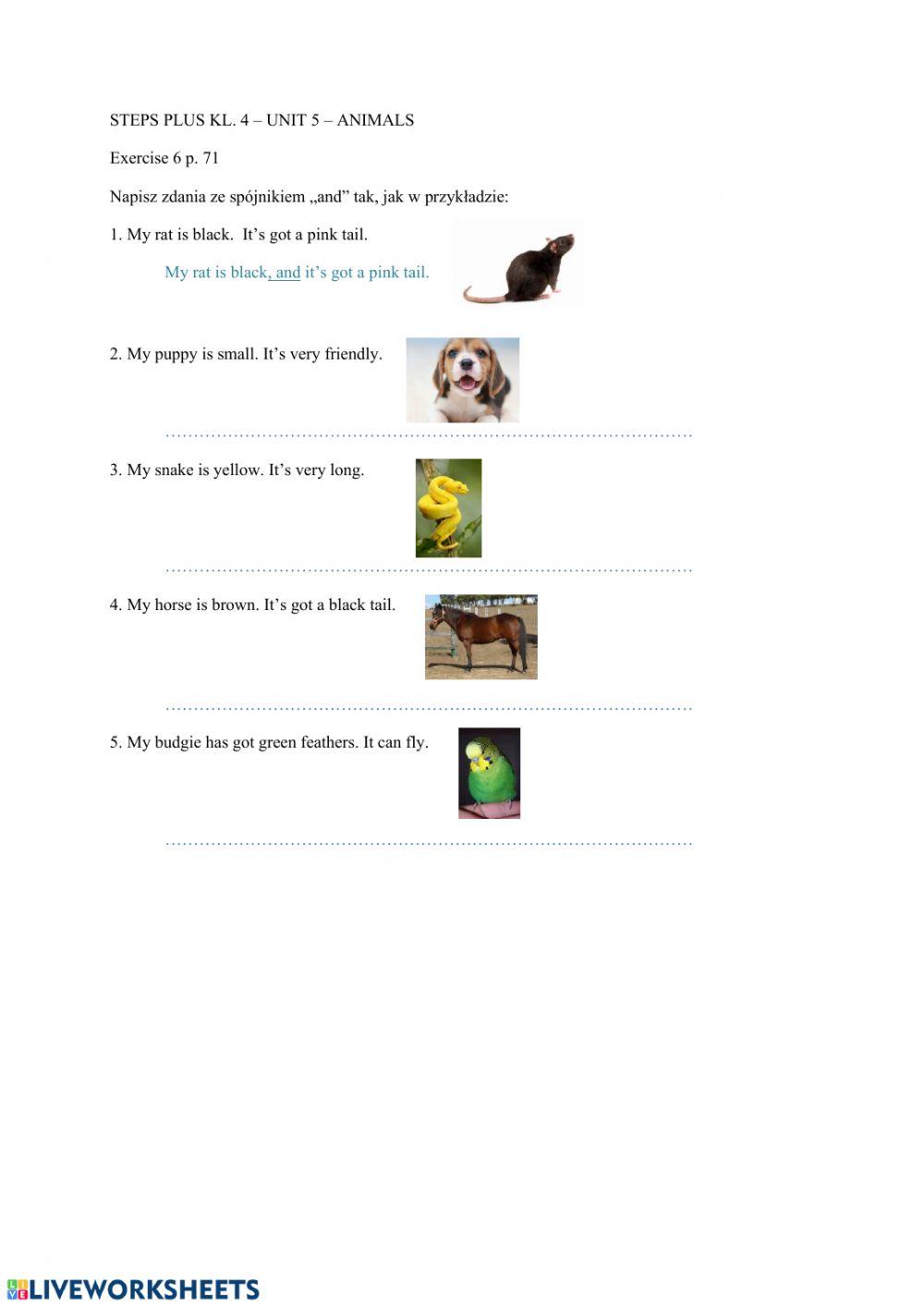 Spójnik 'and' worksheet | Live Worksheets