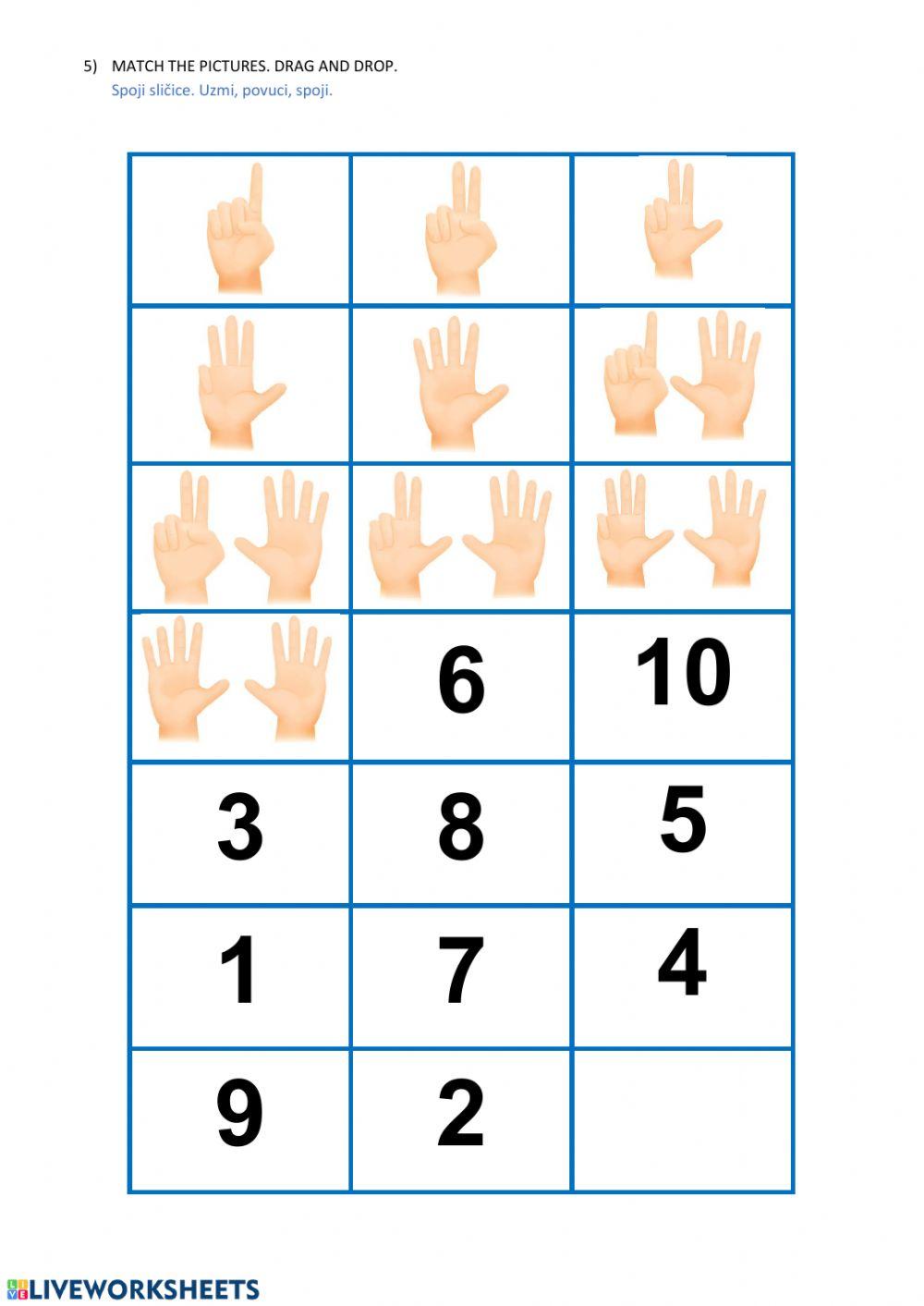 School things and Numbers 66088 | InesNessi | Live