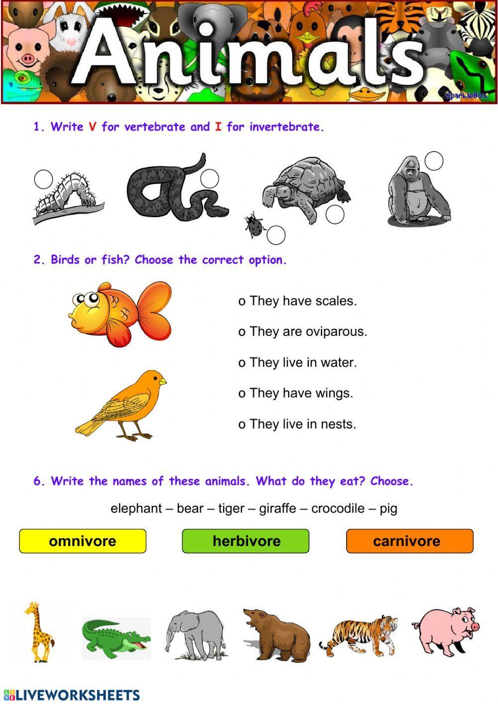 Animals review | Free Interactive Worksheets | 67884