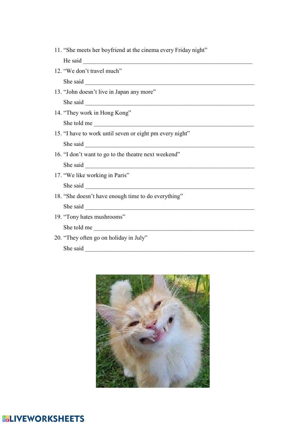 reported speech present simple worksheet