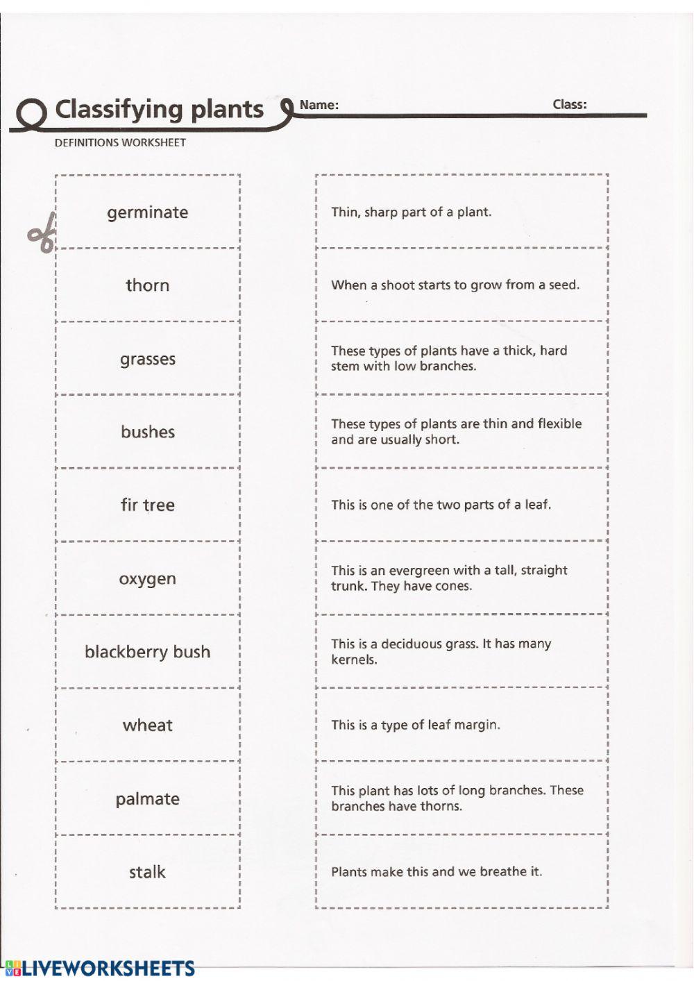 CLASSIFYING PLA… | Free Interactive Worksheets | 5419210