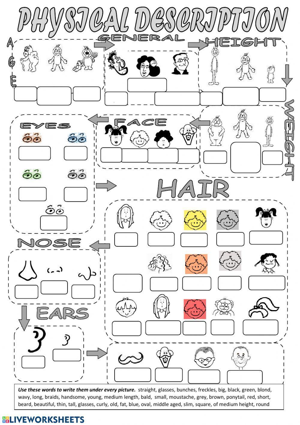 68502 | Physical description vocabulary | Valkine