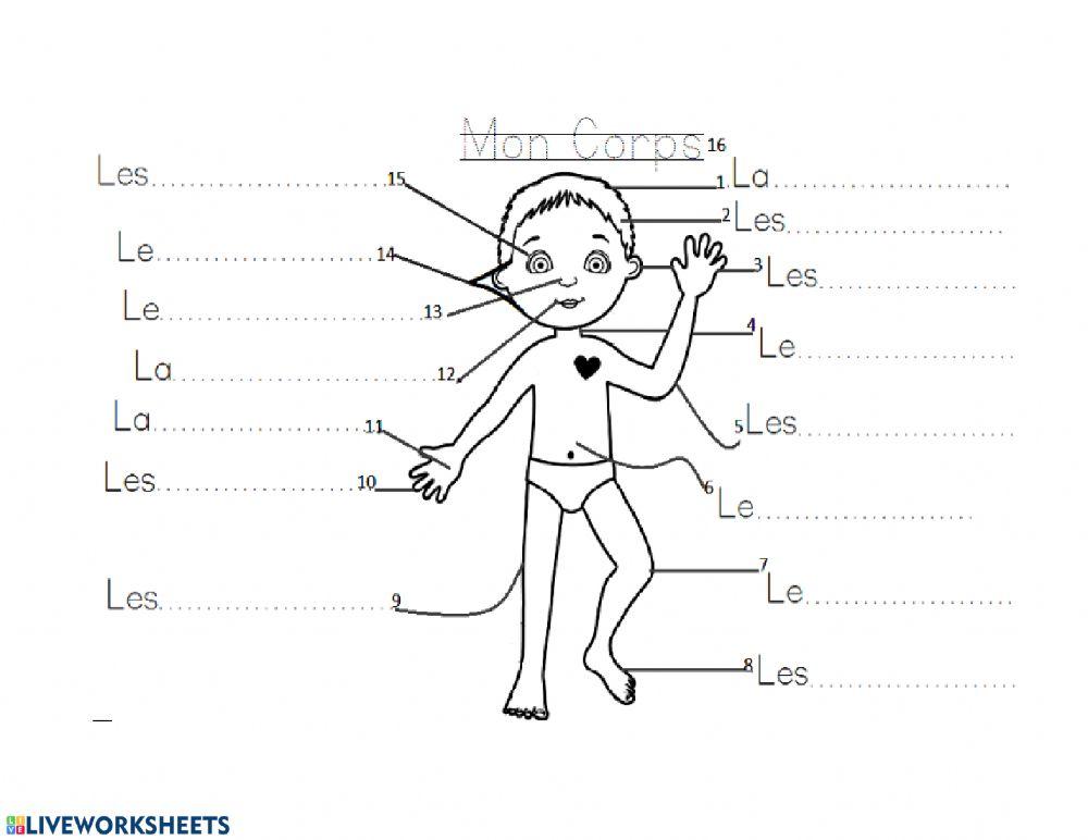 Mon corps worksheet | Live Worksheets