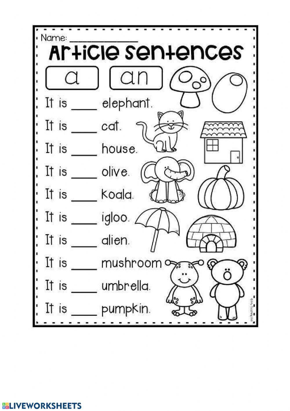 -a-an worksheet | Live Worksheets
